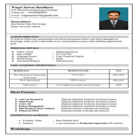Waqar Cv | PDF