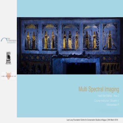Multi Spectral Imaging | PDF