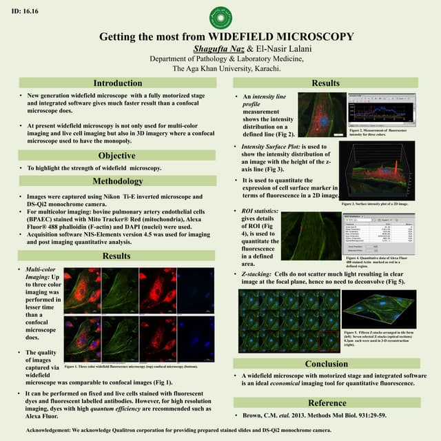 Strength of widefield microscope | PPTX | Physics | Science