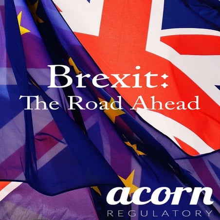 The Road Ahead Brexit Whitepaper Web Q1 2017 | PDF