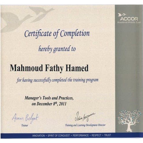 Mahmoud Fathy Mahmoud Hamed0009 | PDF