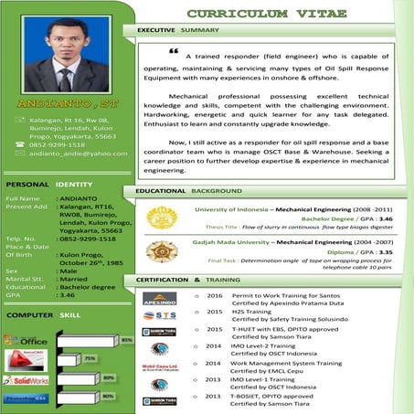 CURRICULUM VITAE - ANDIANTO | PDF