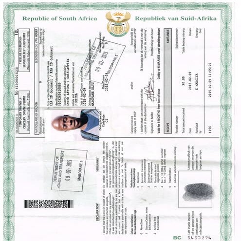 temporary drivers licence | PDF