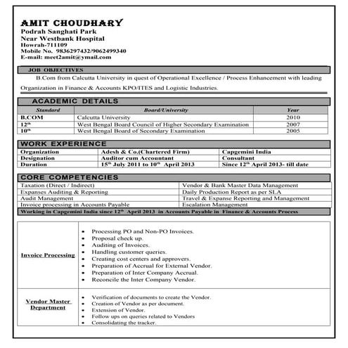 Amit's CV | DOC