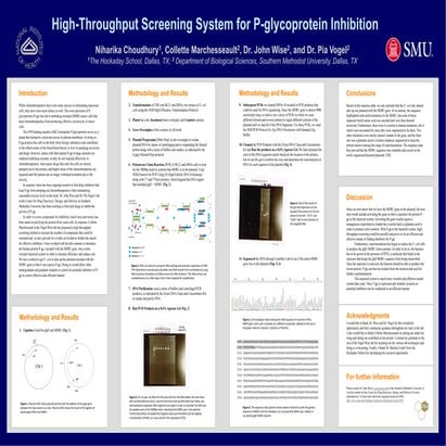 MS Poster | PDF