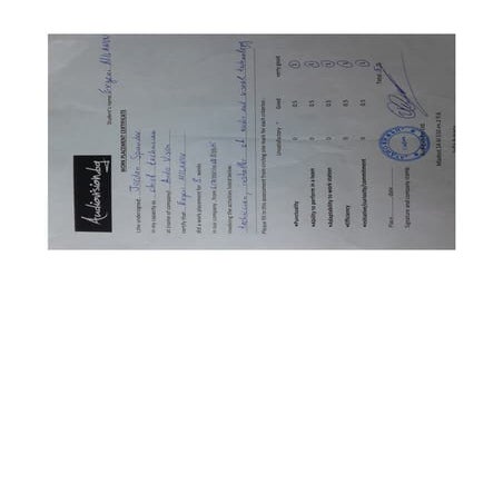 work placement audio vison | PDF