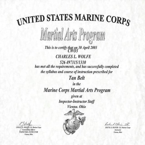 USMC Martial Arts Tan Belt 30Apr2003 | PDF
