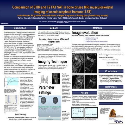 Poster - STIR vs FAT SAT_1009_2015 (1) (1) | PDF