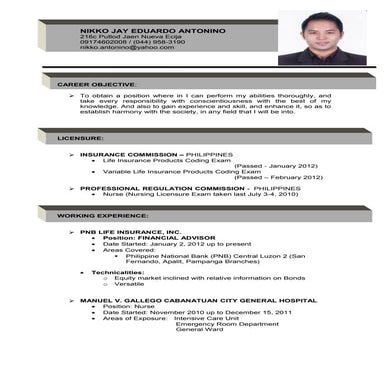 RESUME NIKKO JAY E. ANTONINO 102114 | PDF