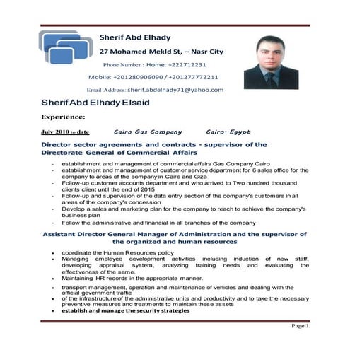 Mohamed Adel Cv 2016 | PDF