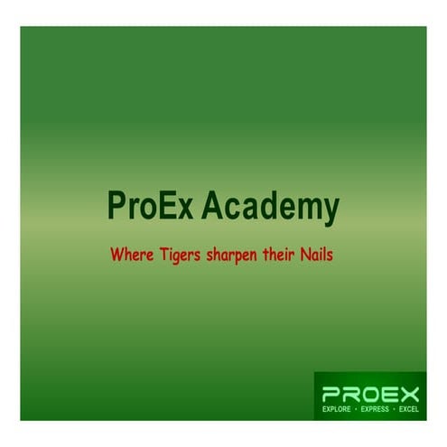 ProEx Academy | PDF