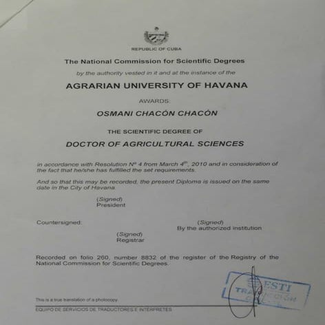 Official Translation of PhD Certificate | PDF