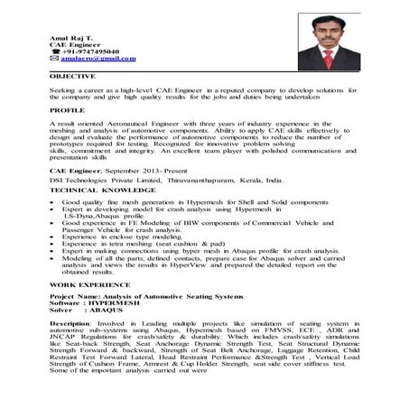 Amal Raj-CAE ENGINEER | DOCX