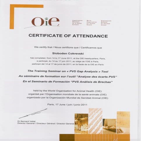 PVS GAP Analysis certificate | PDF