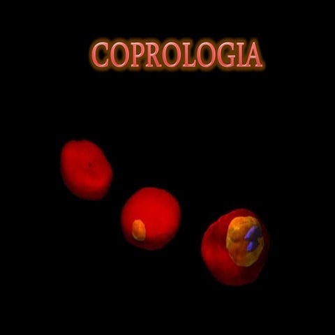 Coprología examen de heces | PPT