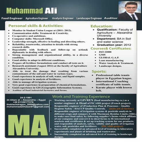 CV Oussama Hedhili (EN) | PDF