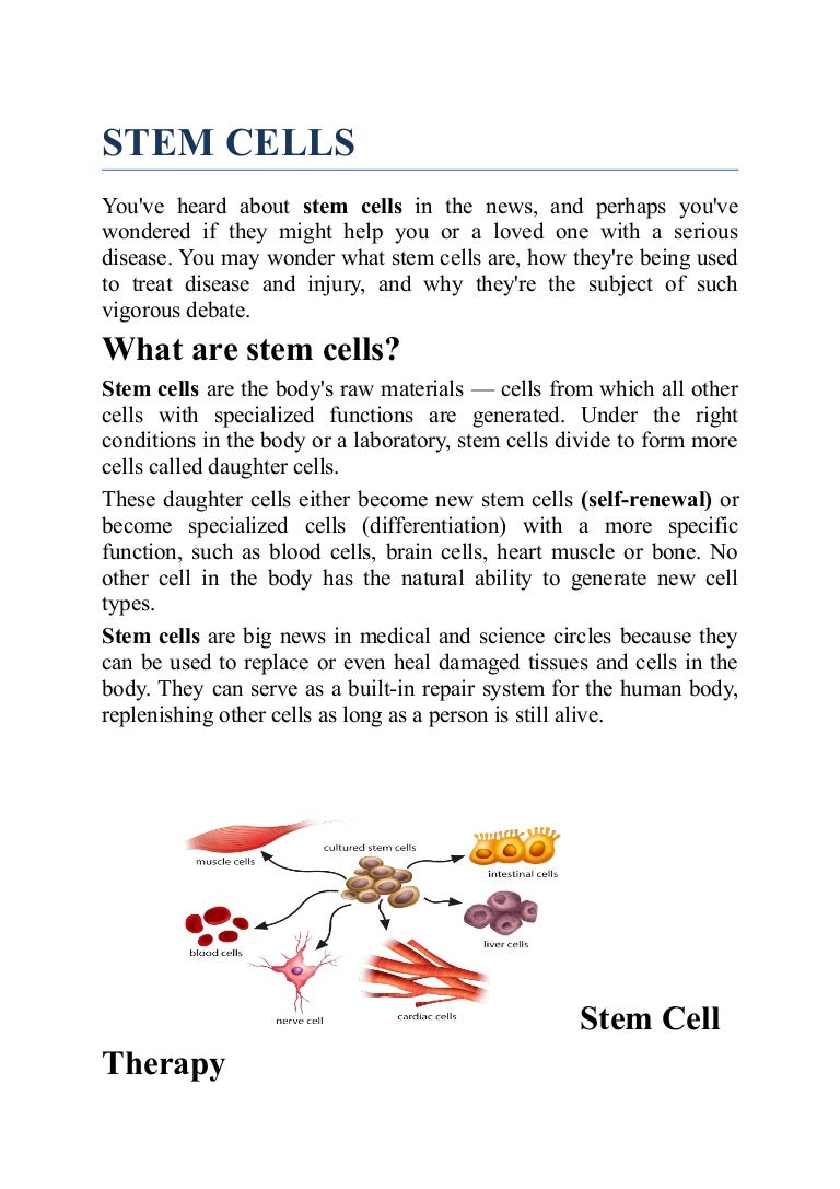 STEM CELLS ARTICLE