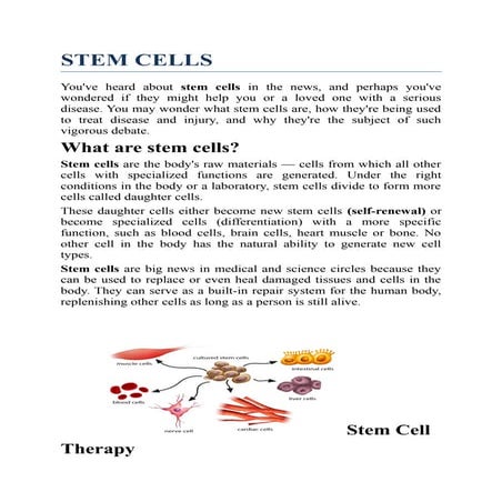 STEM CELLS ARTICLE | PDF