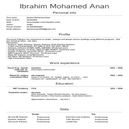 CV Ibrahim Mohamed Anan | PDF