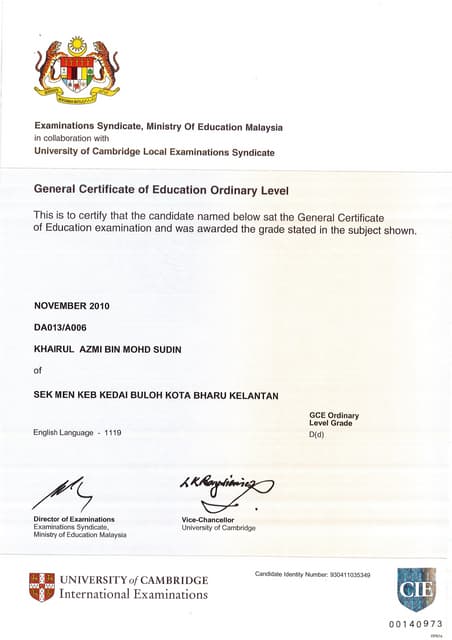 CERTIFICATE AFTER SCHOOL AND COCURICULUM | PDF