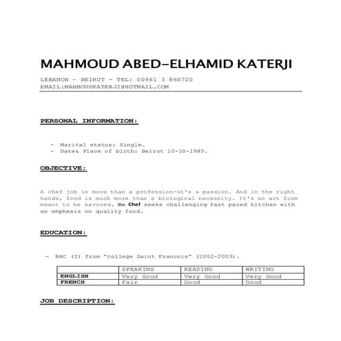 MAHMOUD KATERJI CV | DOCX