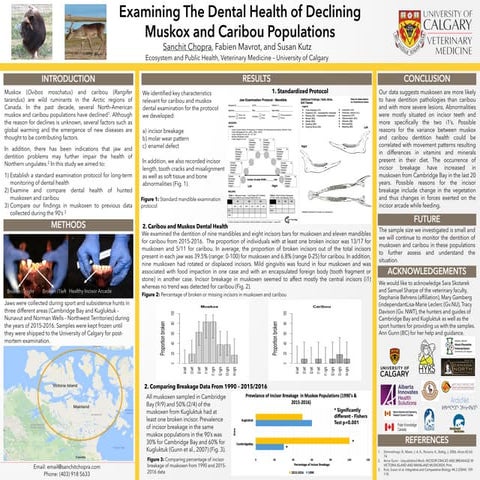 HYRS POSTER | PPT