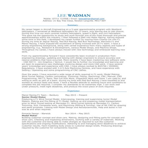 Beagley, t aviation business cv | PDF
