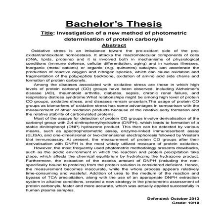Bachelor's Thesis Abstract (1) | PDF