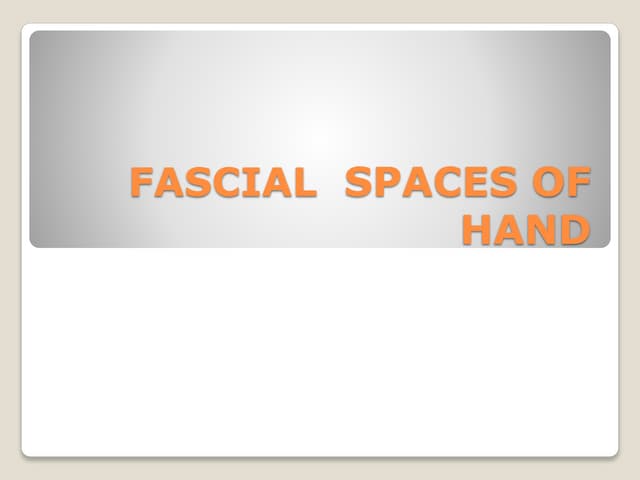 4. spaces of the hand & its applied anatomy[1] | PPT