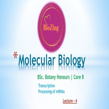 C8 l4.pptx bsc botany honours 4th semester | PPTX