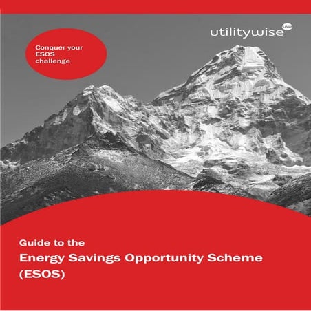 ESOS Explained | PPTX
