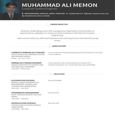 Muhammad Ali_Memon_visualcv_resume | PDF