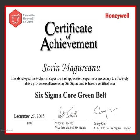 Sorin Magureanu | PDF
