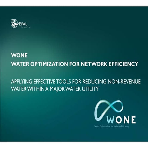 presentation wone | PDF | Computer Software and Applications | Computing
