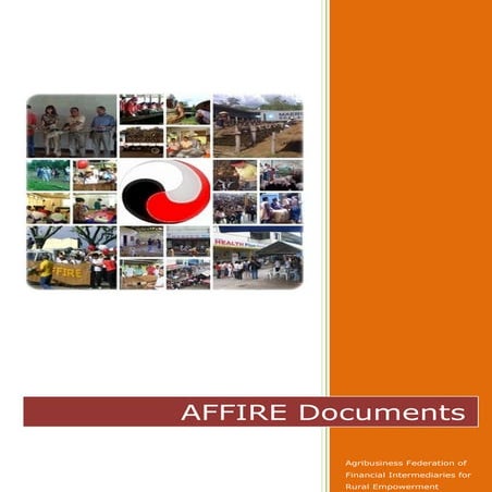 AFFIRE PROFILE 2016 | PDF