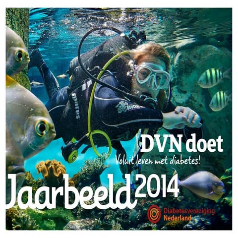 DVN_Jaarbericht2014_PC DEF | PDF | Health Insurance | Insurance