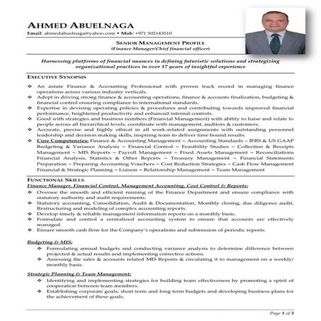 Resume - Ahmed Abouelnaga | PDF