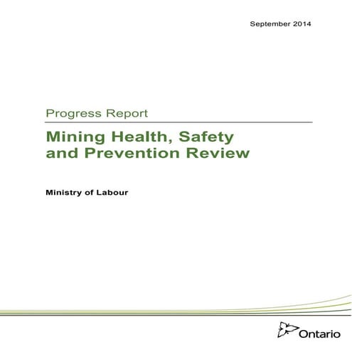 Mining Health, Safety and Prevention Review Progress Report | PDF