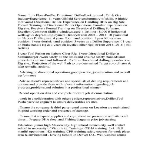 luis 2015 resume | RTF