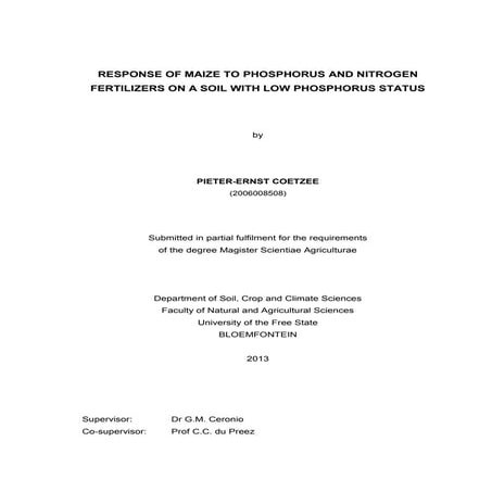 COMPLETE DISSERTATION - PIETER ERNST COETZEE | PDF