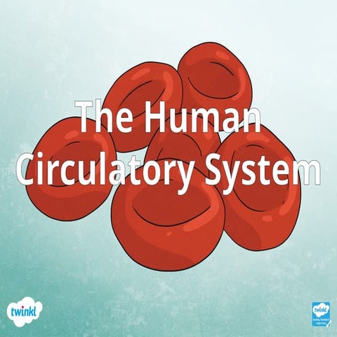 -human-circulatory-system-powerpoint_ver_1.pptx