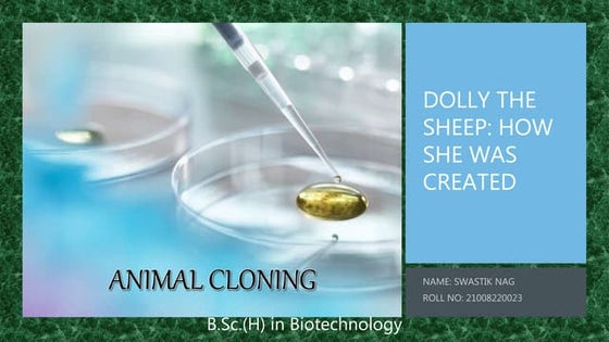 Dolly-The Cloned Sheep | DOCX