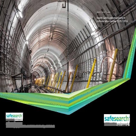 Safesearch Survey | PDF