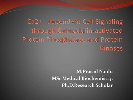 Activation of calcium and calmodulin dependent protein | PPTX | Chemistry | Science