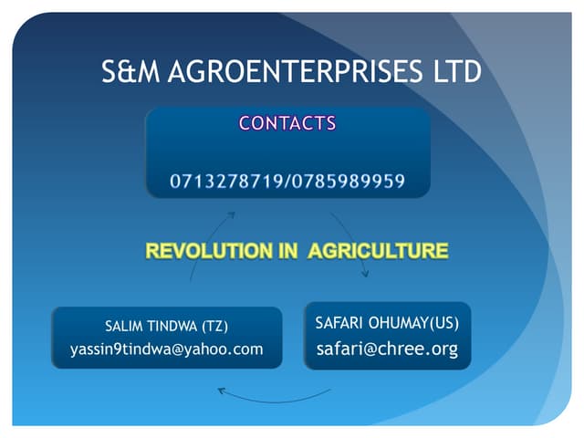 Organisation structure, culture and strategies of wipro | PPTX