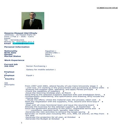 Incubatee application format | PDF