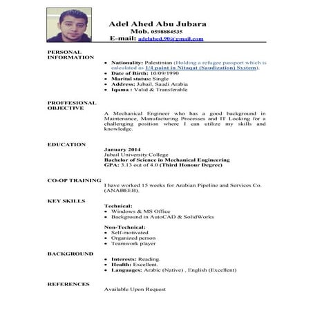 ADEL CV | PDF