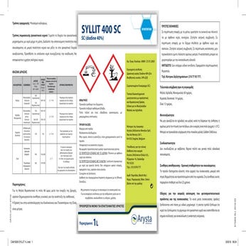 Ca615933 syllit 1 l | PPT