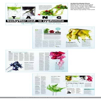 Portfolio_Tine Lund | PDF