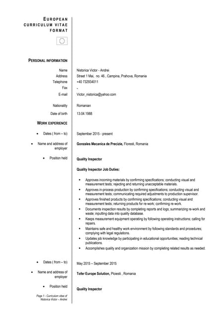 RAGHEB CV | PDF